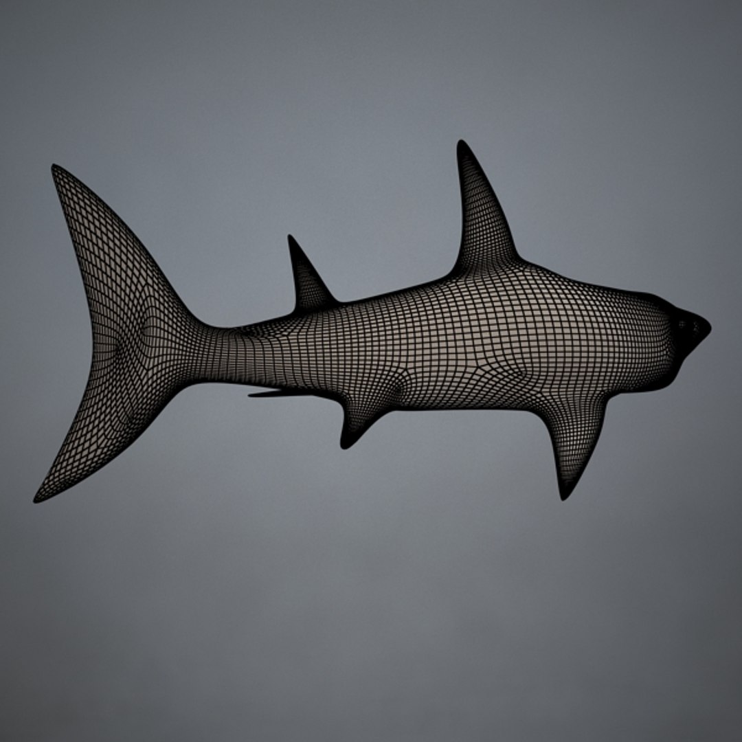 3d shark games normal model