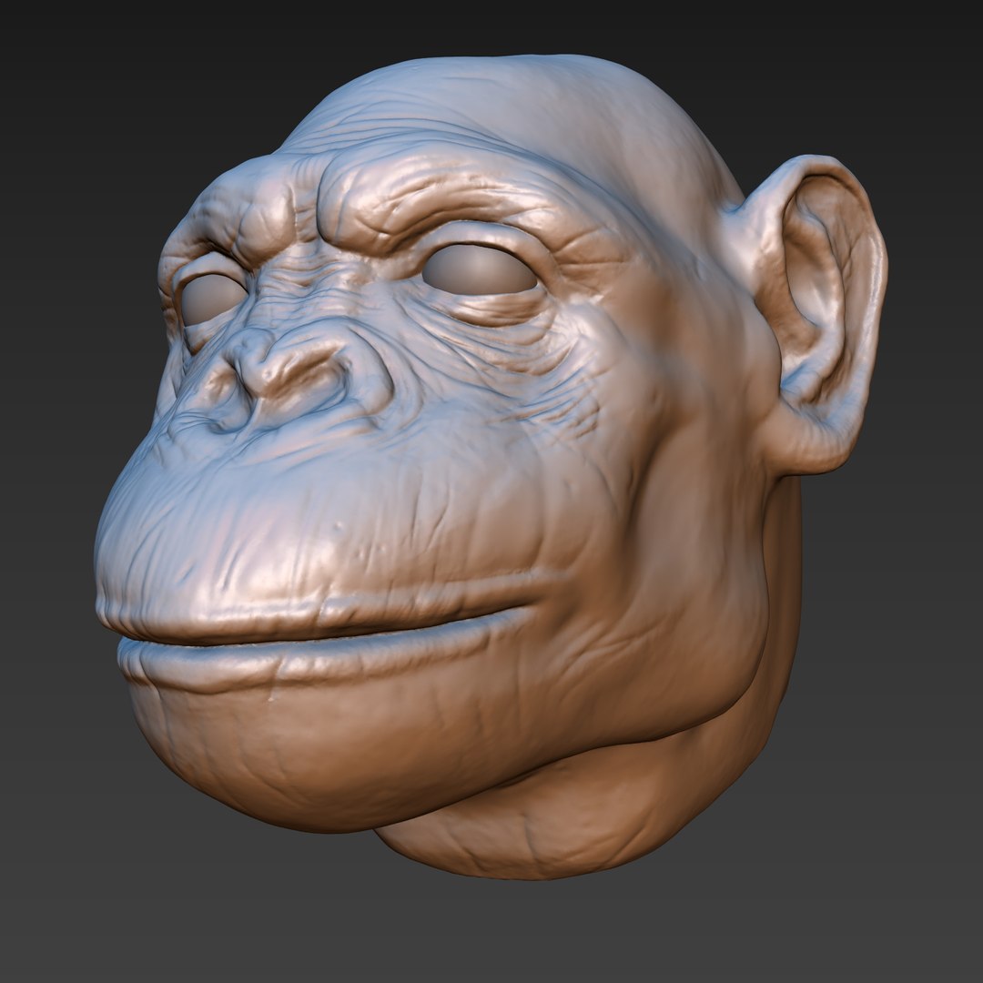 Chimpanzee Head 3D - TurboSquid 1209213