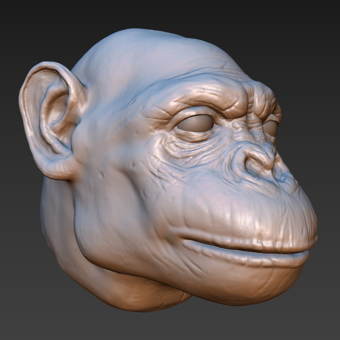 Chimpanzee Head 3D - TurboSquid 1209213