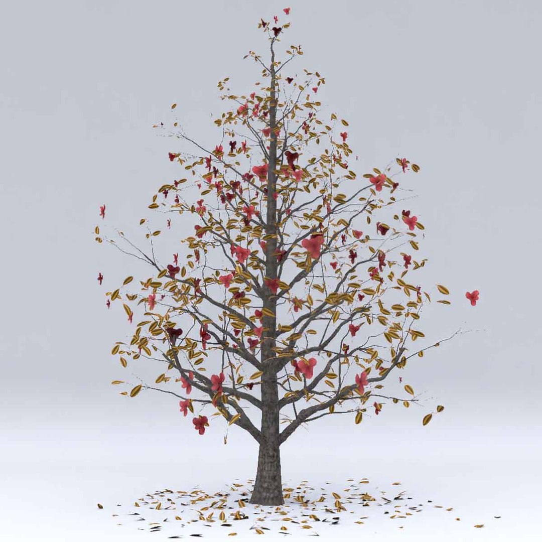 3D Magnolia Autumn Hight - TurboSquid 1619877