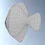 3ds Max Turbot Flatfish