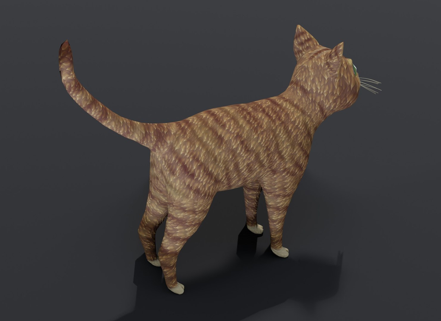 Cartoon cat orange modeled model - TurboSquid 1542416