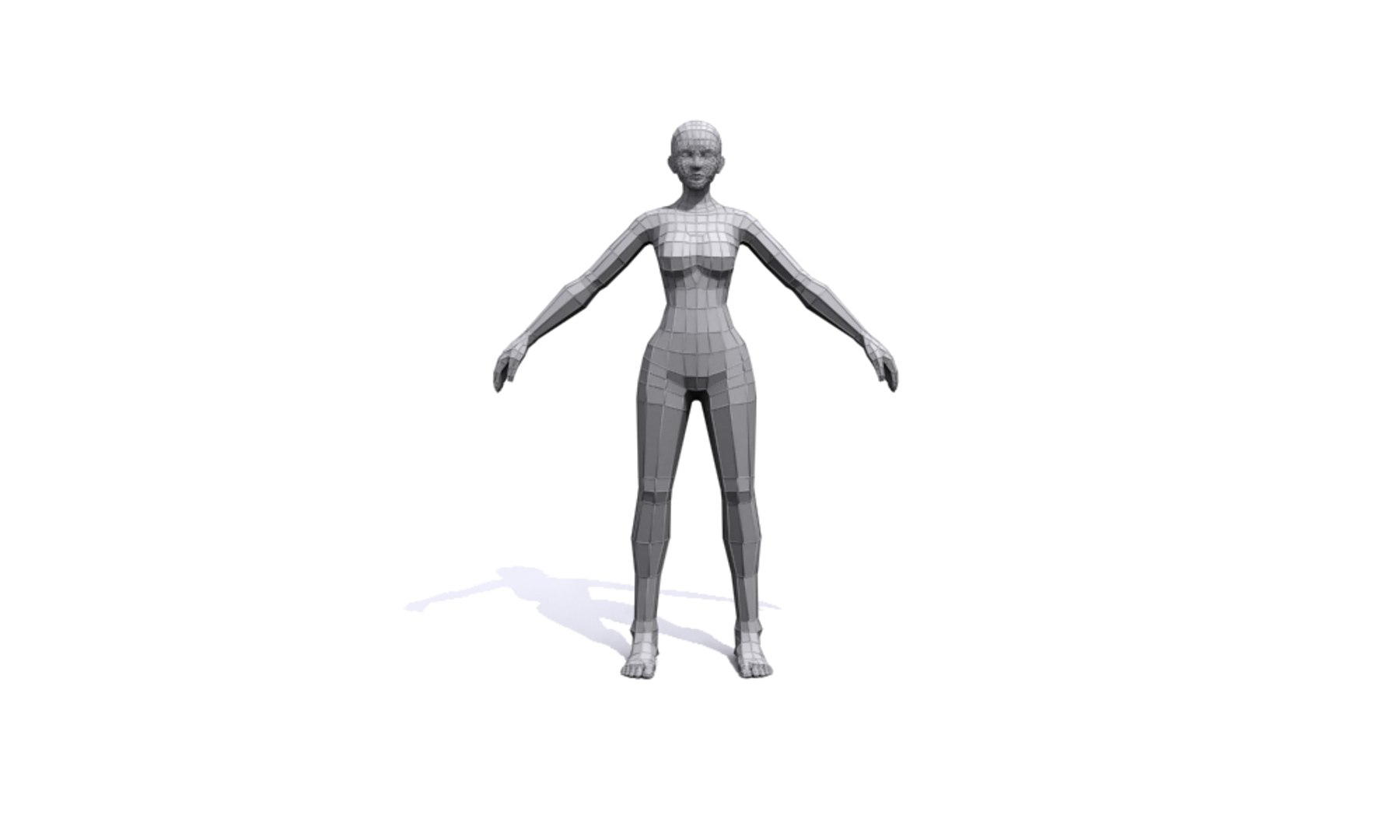 3d Female Base Mesh Human