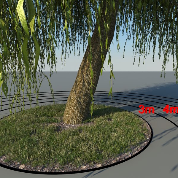 3d willow tree model