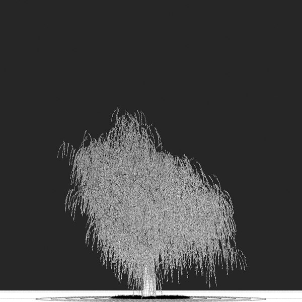 3d willow tree model
