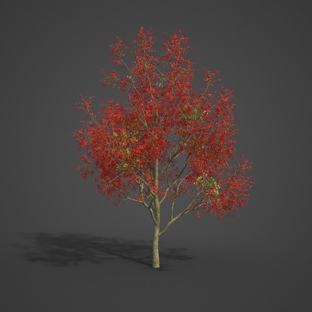 Tree Nature Model - TurboSquid 1679661