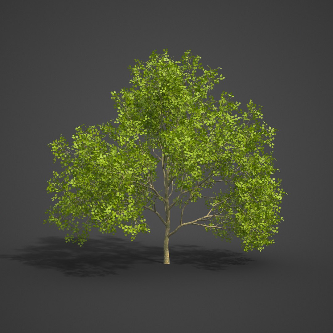 Tree Nature Model - TurboSquid 1679661