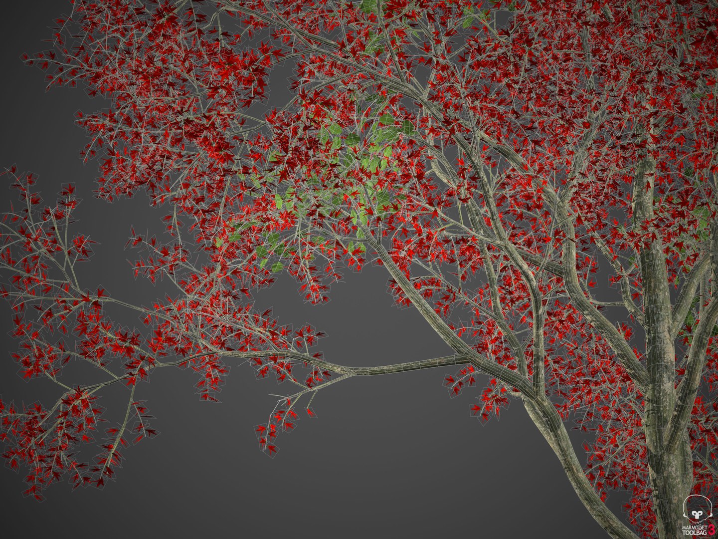 Tree Nature Model - TurboSquid 1679661