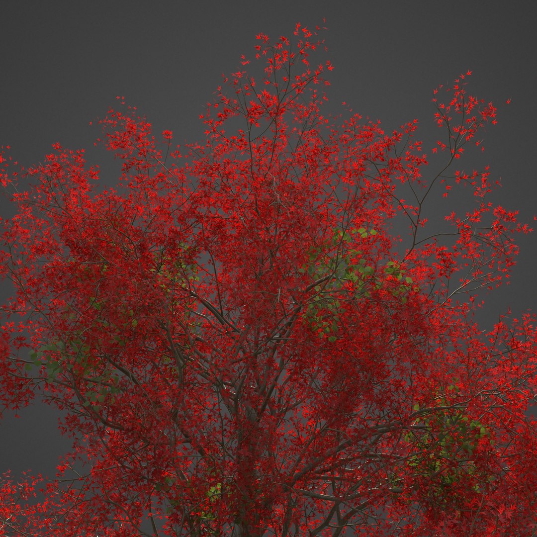 Tree Nature Model - TurboSquid 1679661