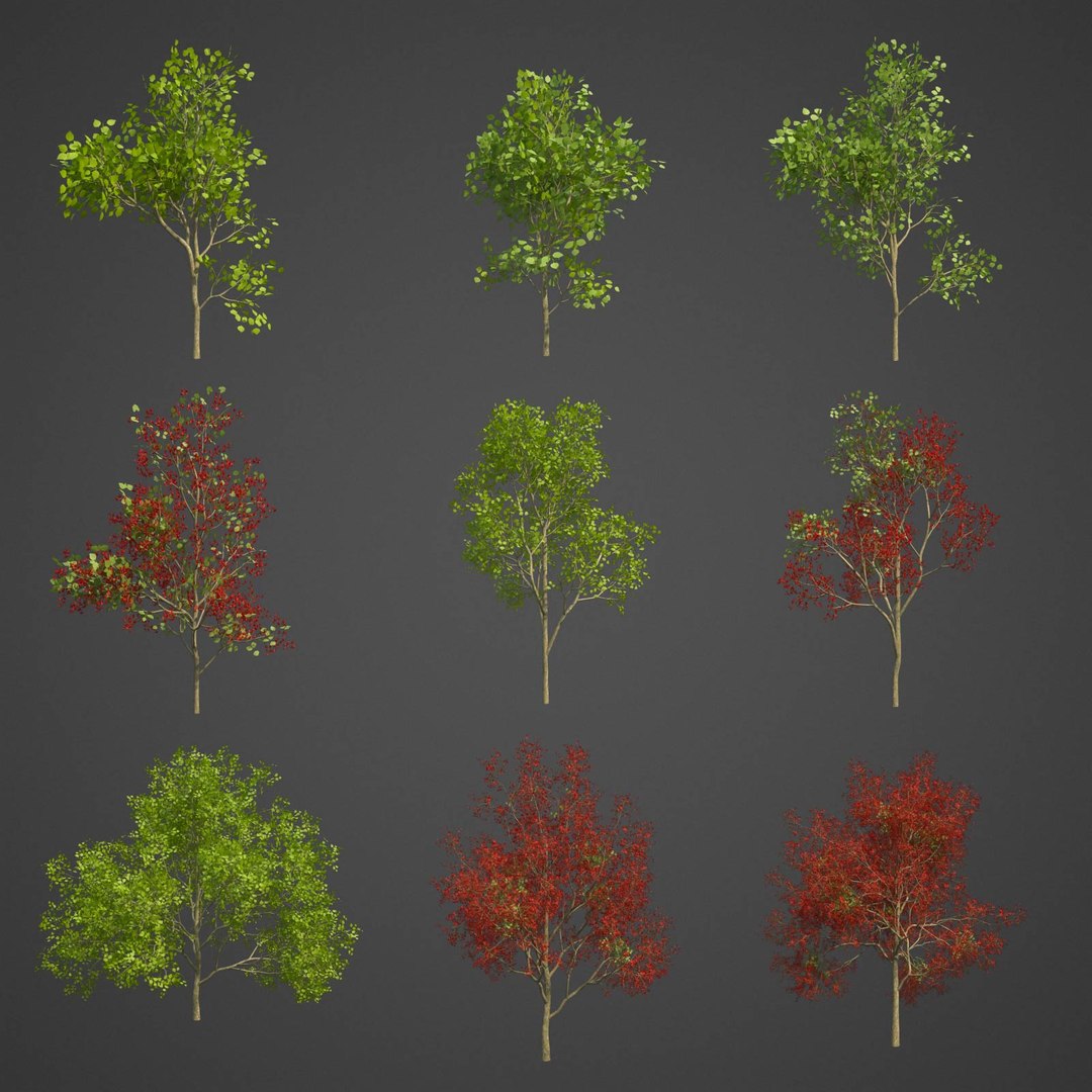 Tree Nature Model - TurboSquid 1679661