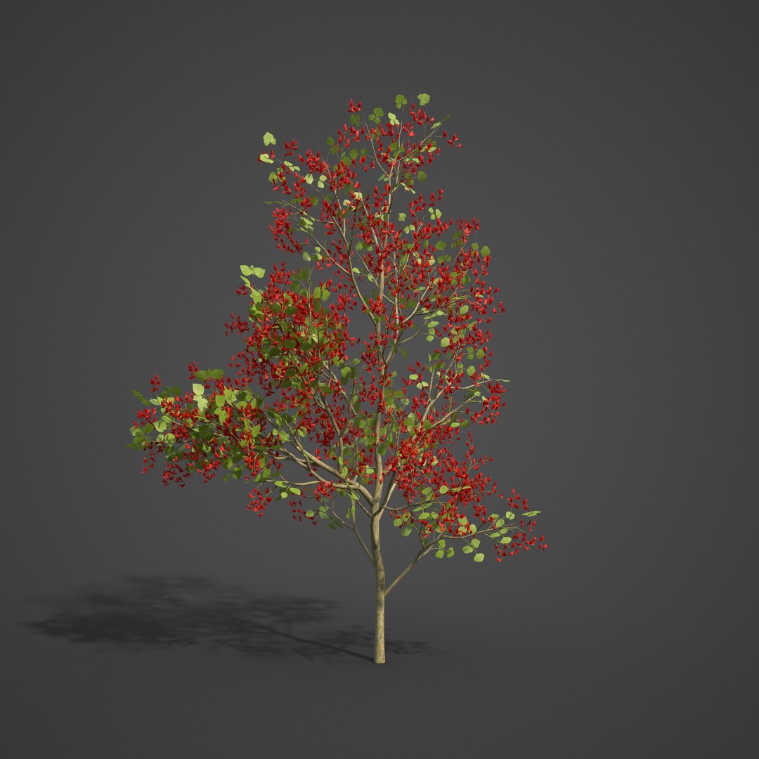 Tree Nature Model - TurboSquid 1679661