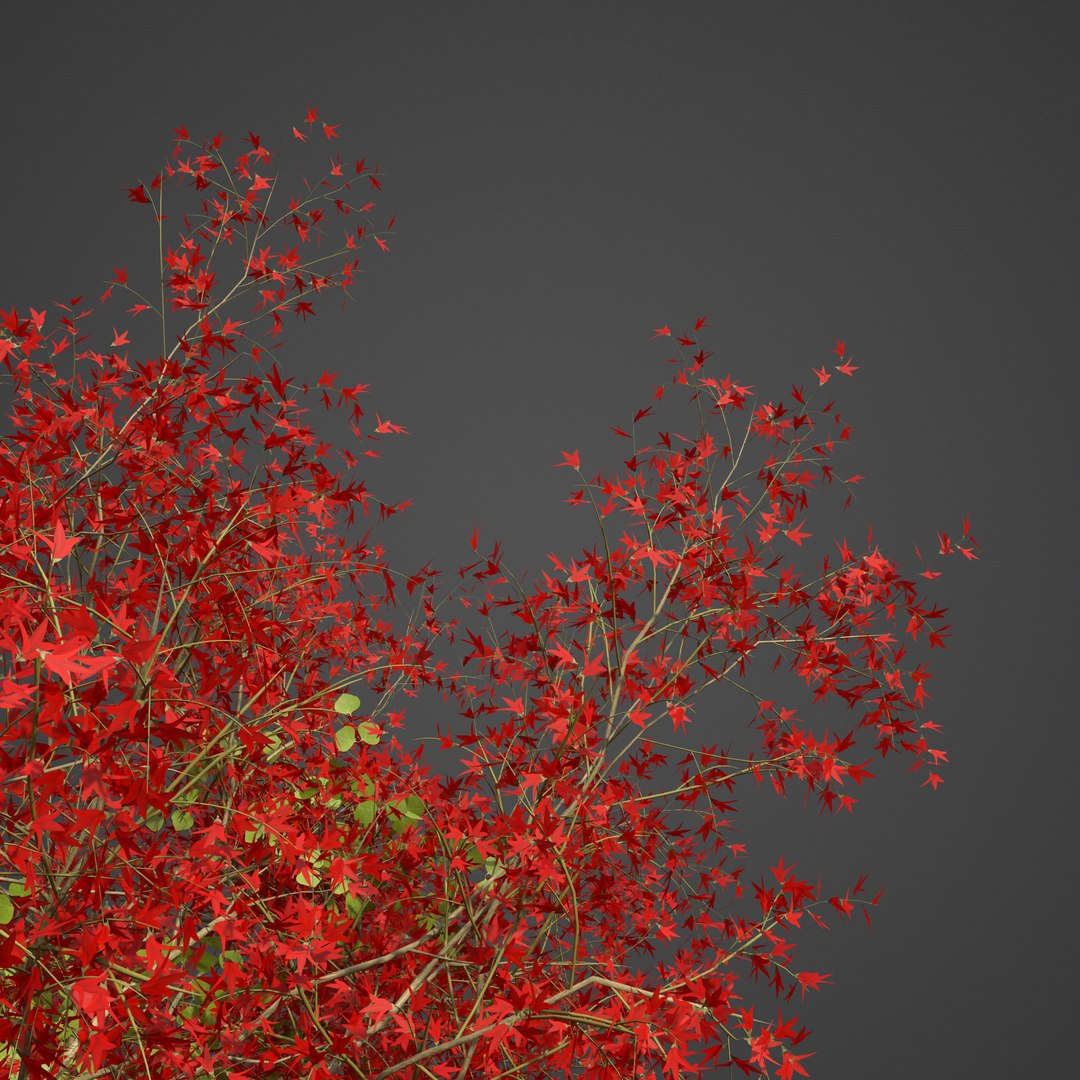 Tree Nature Model - TurboSquid 1679661