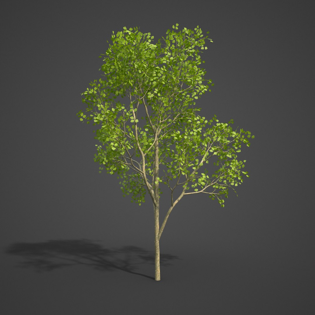Tree Nature Model - TurboSquid 1679661
