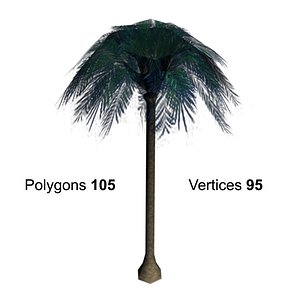 Cycas 3D Models for Download | TurboSquid