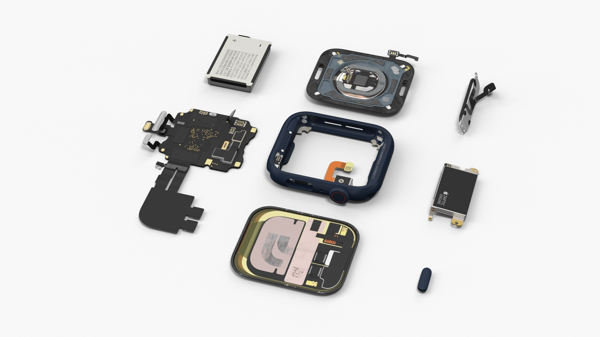 3D Model Disassembled Apple Watch SE - TurboSquid 2215114