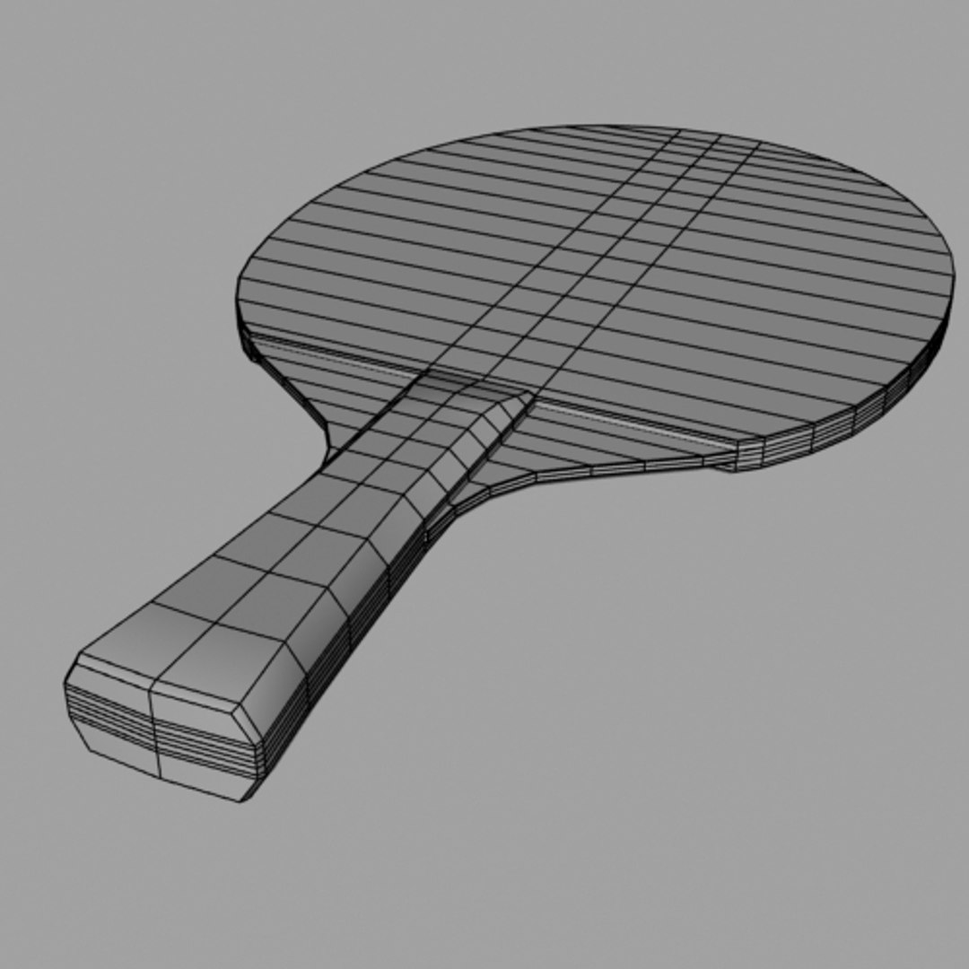 3d Paddle Model