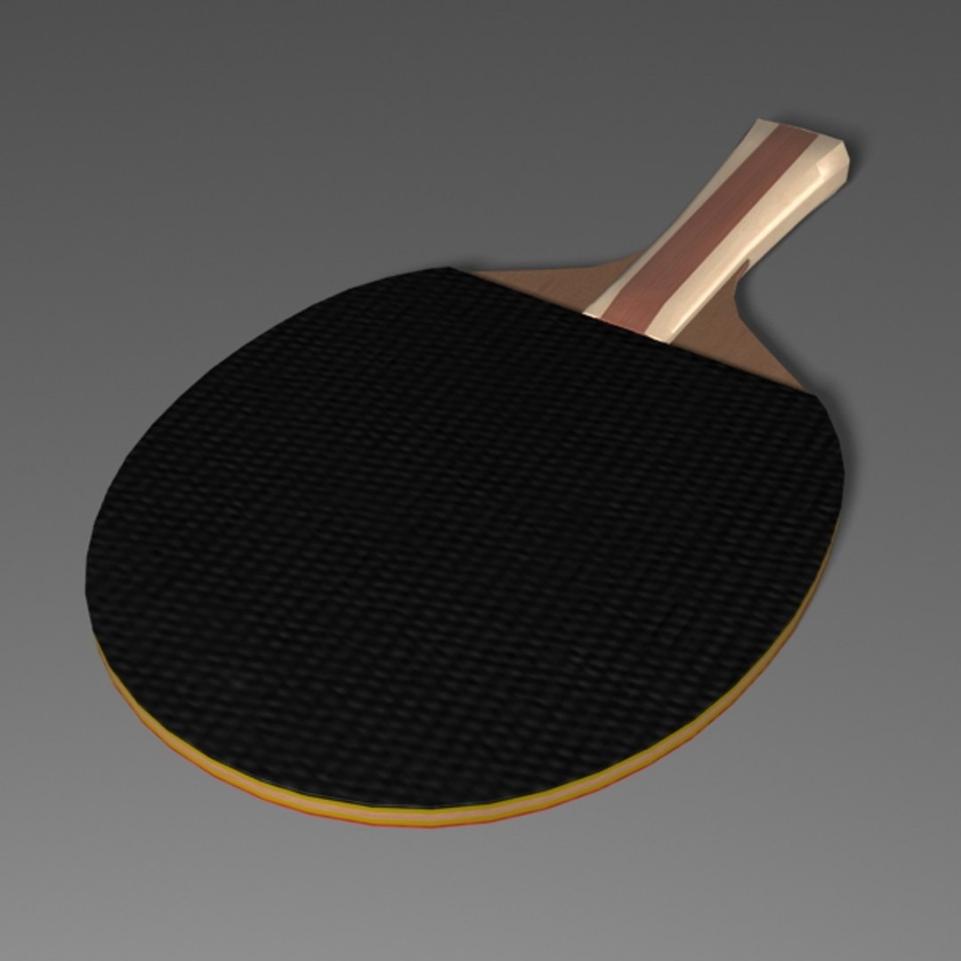 3d Paddle Model