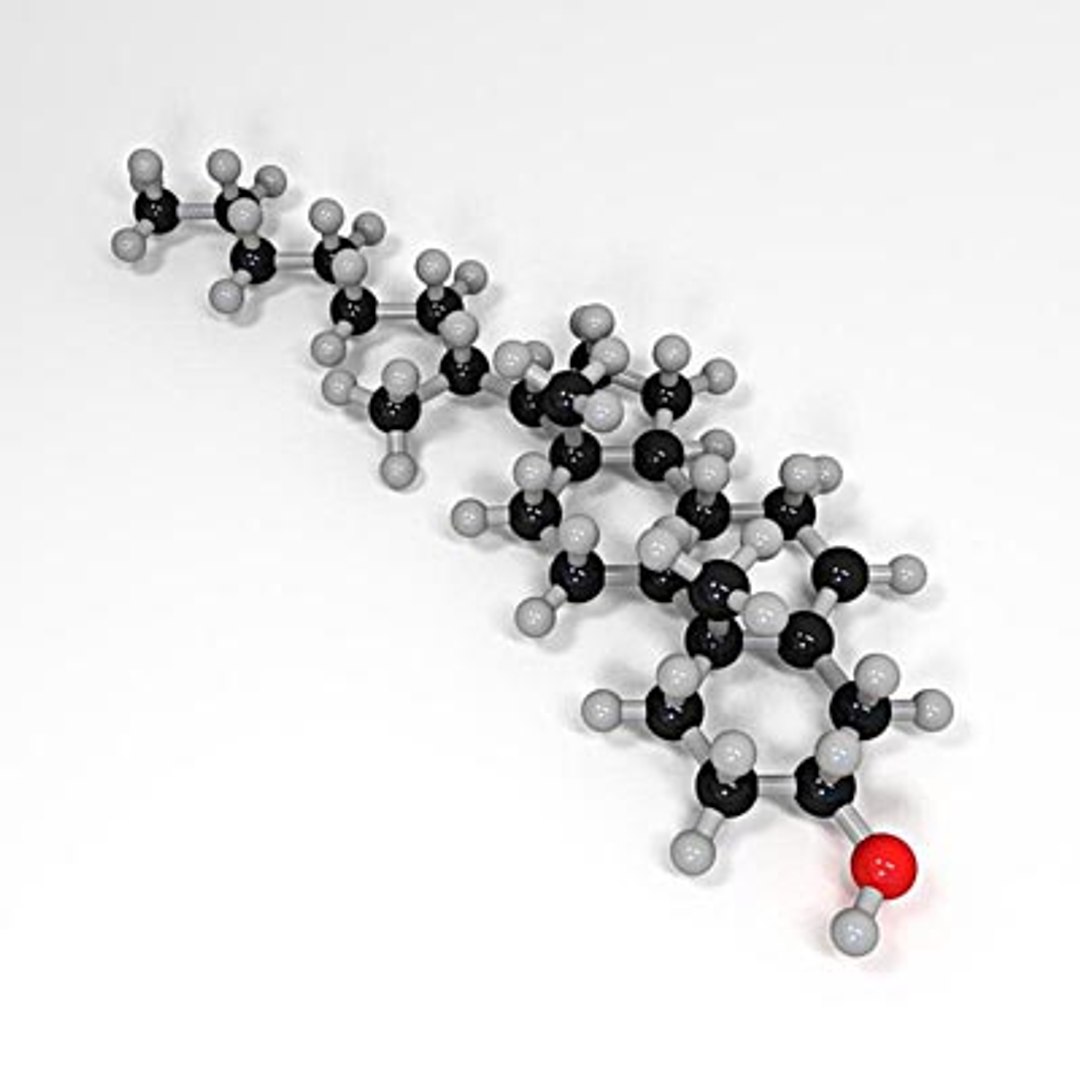 3d Model Cholesterol Molecule Structure