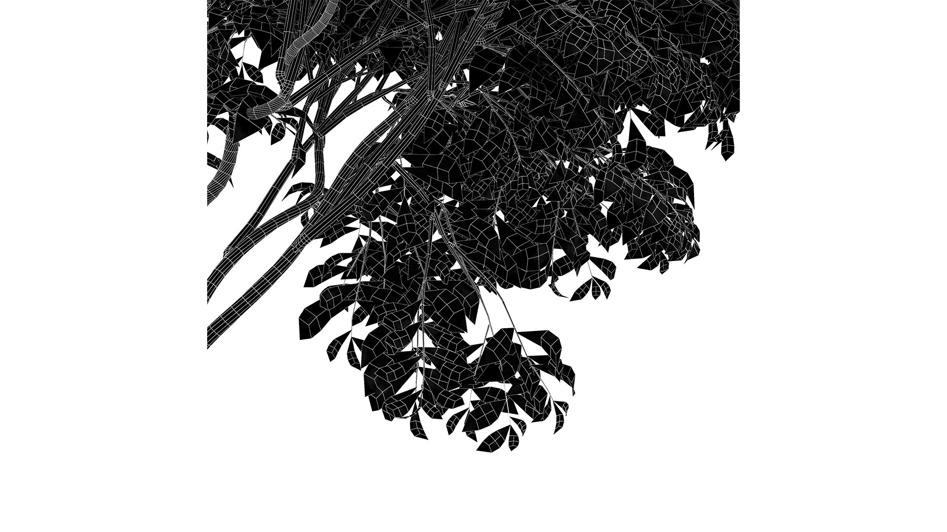 Beautiful Trees Carpinus Betulus And Japanese Cherry Leaf Model ...