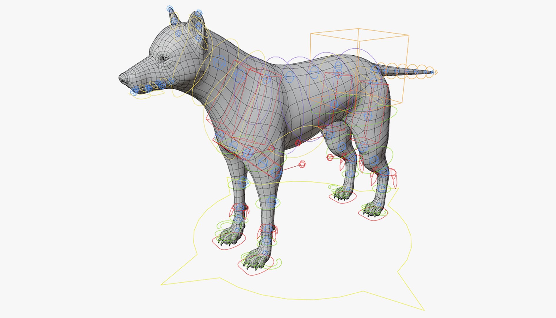 3D rigged wolf base mesh - TurboSquid 1524481