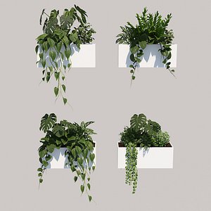 Free 3D Botanic Models | TurboSquid