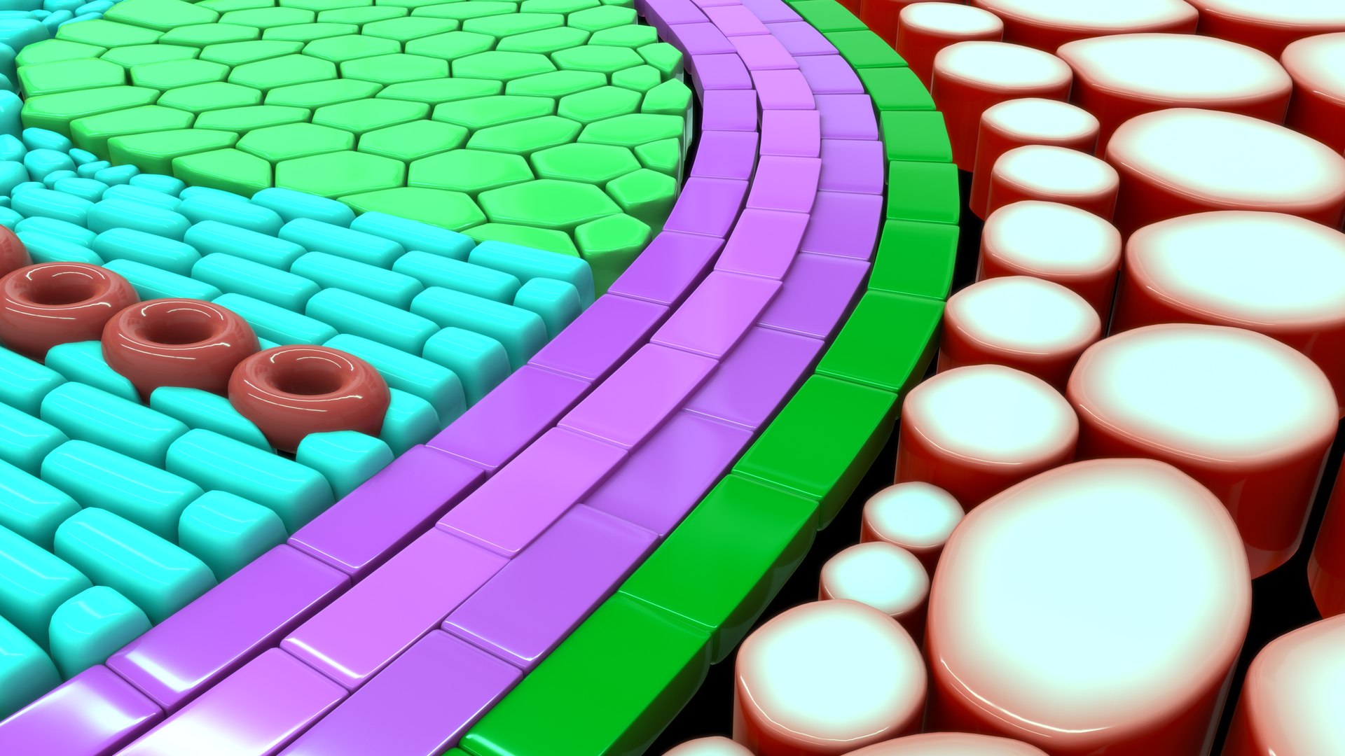 3D Dicot Root Model - TurboSquid 2197317