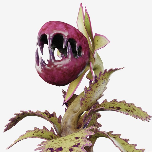 Wild Raspberry Carnivorous Monster Plant 3D model - TurboSquid 1932800
