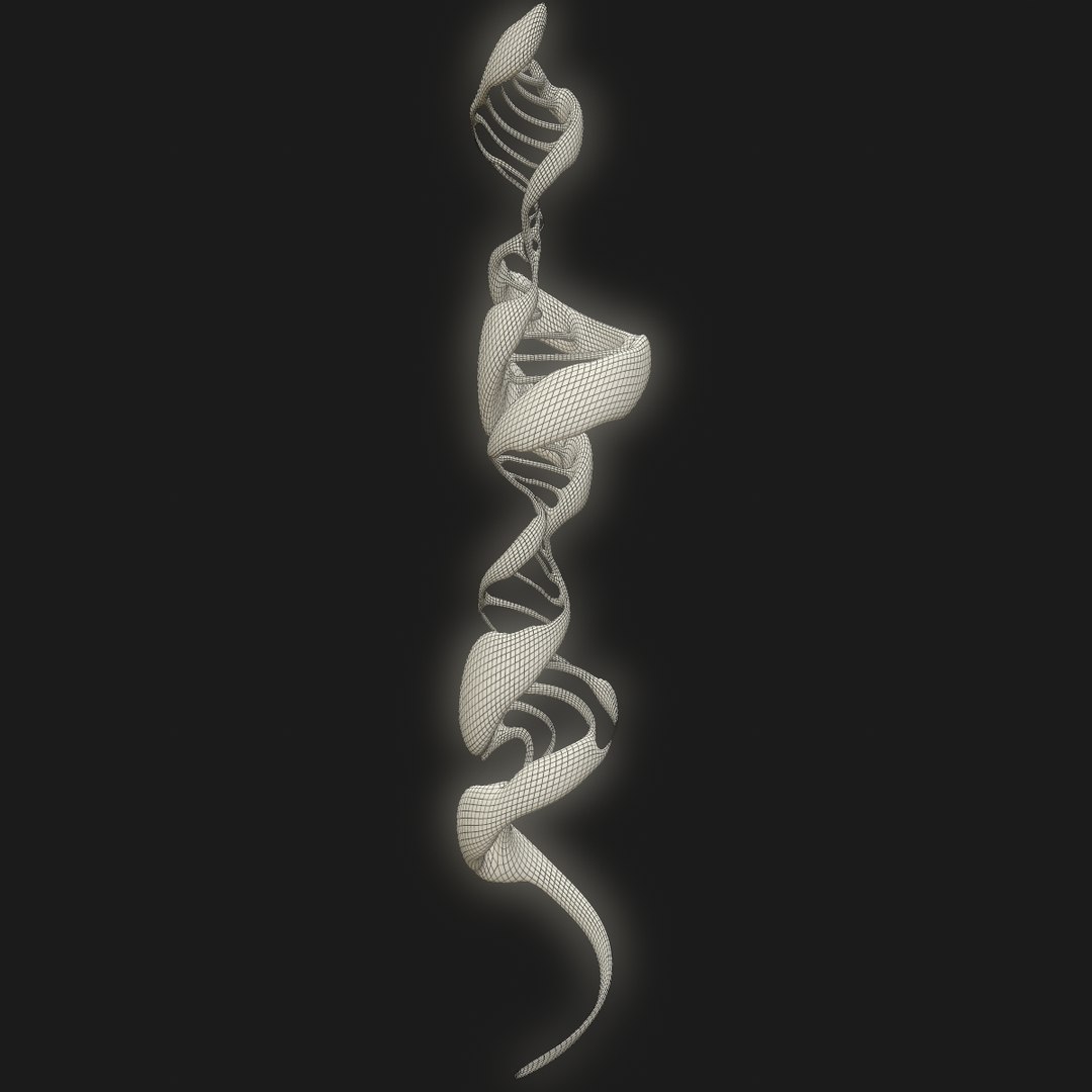 3D Dna Science Helix - TurboSquid 1430286