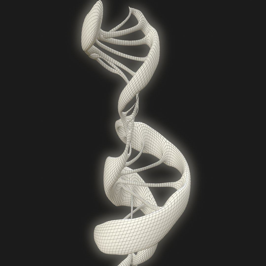 3D Dna Science Helix - TurboSquid 1430286