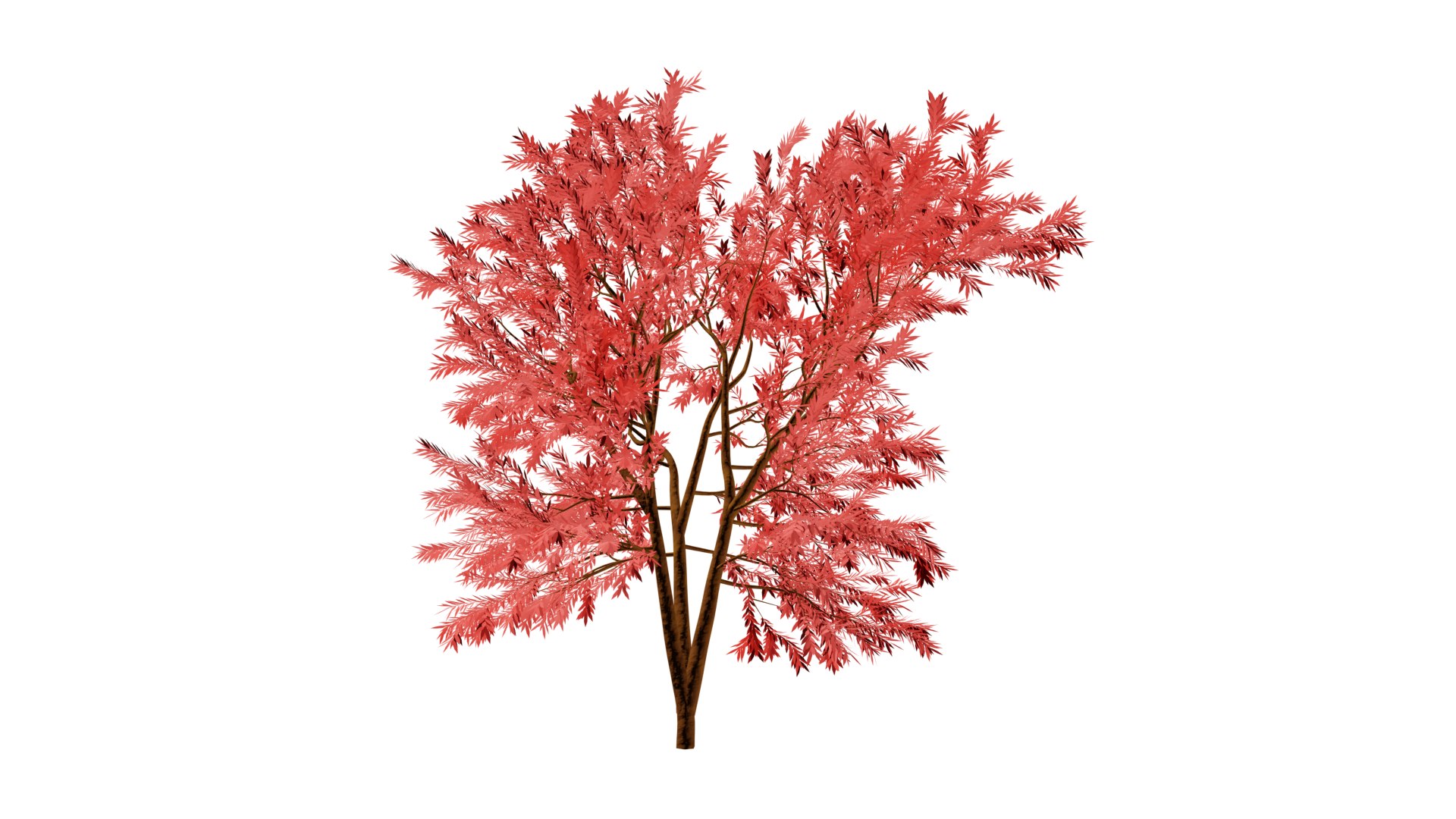 3D Japanese Tree - TurboSquid 2057879