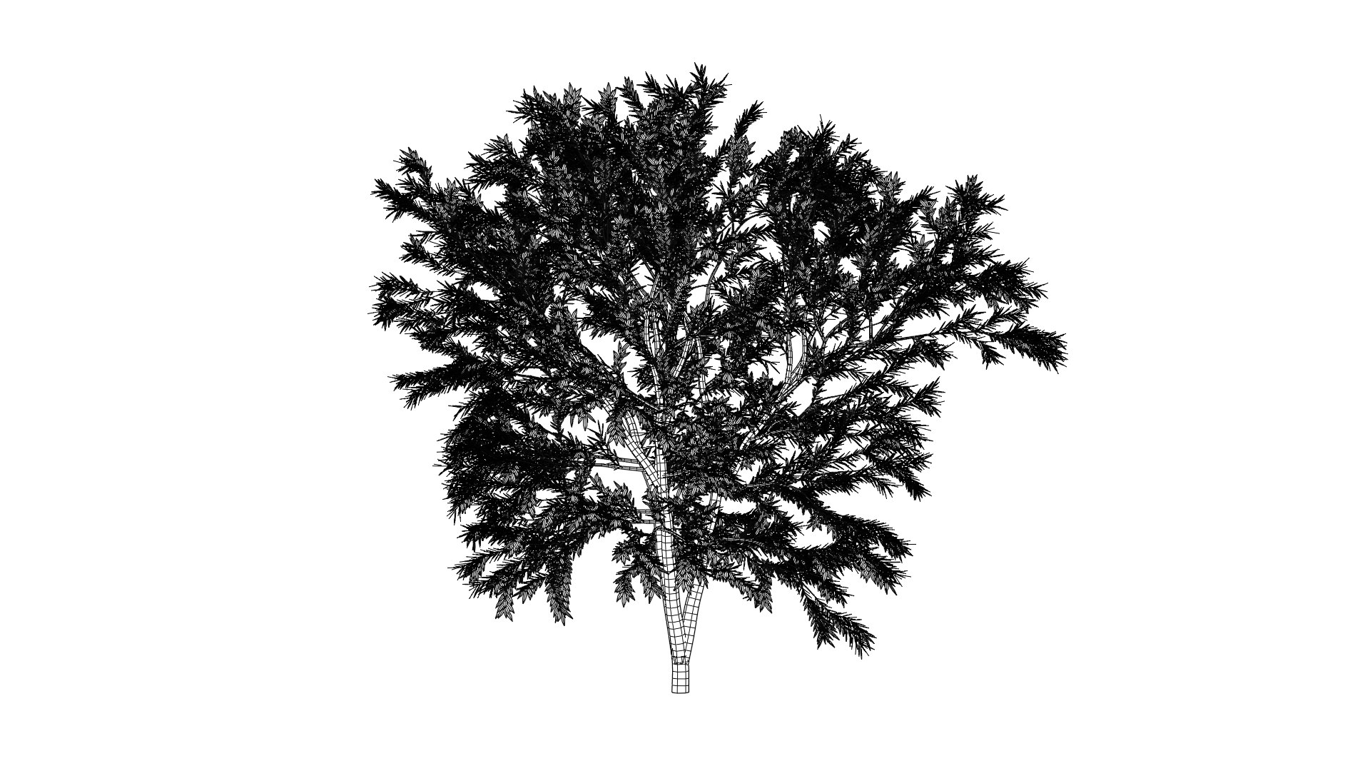 3D Japanese Tree - TurboSquid 2057879