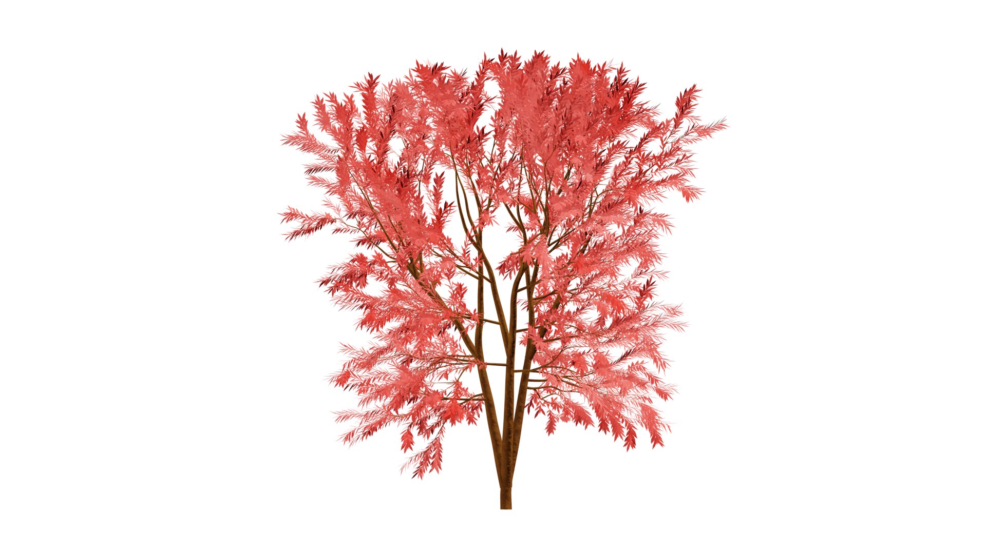 3D Japanese Tree - TurboSquid 2057879