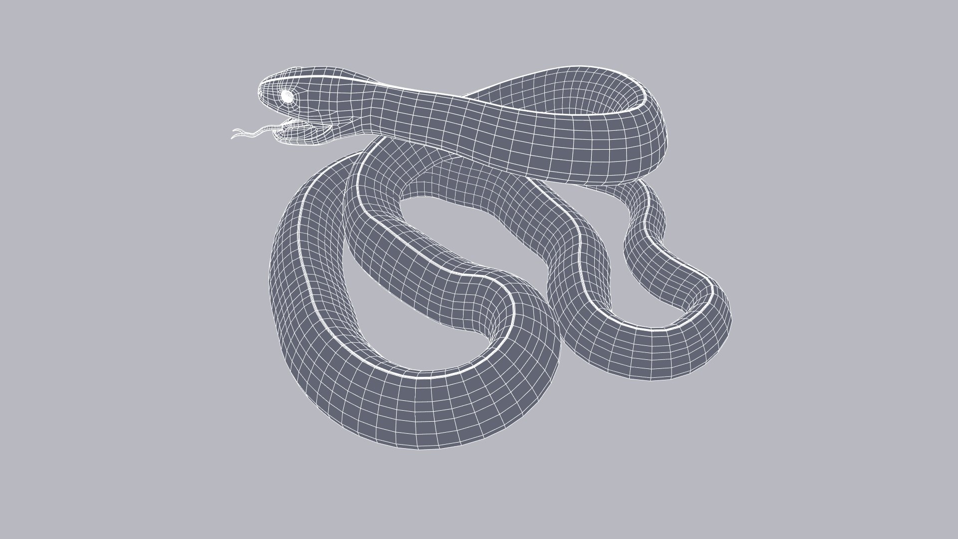 Malayan Krait - Static Poses 3D model - TurboSquid 2020573