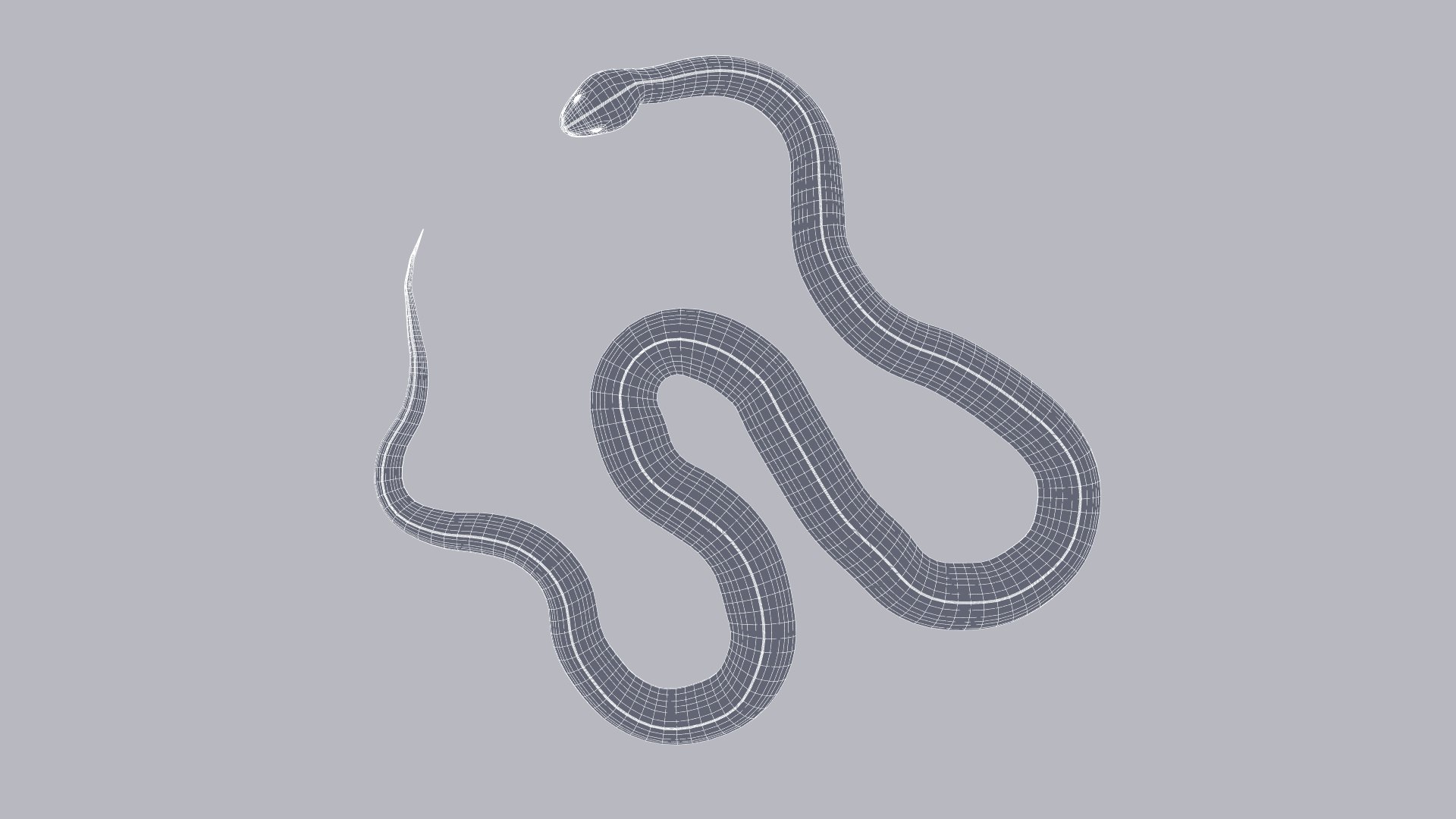 Malayan Krait - Static Poses 3D model - TurboSquid 2020573