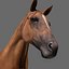 Maya Horse Animations Tail