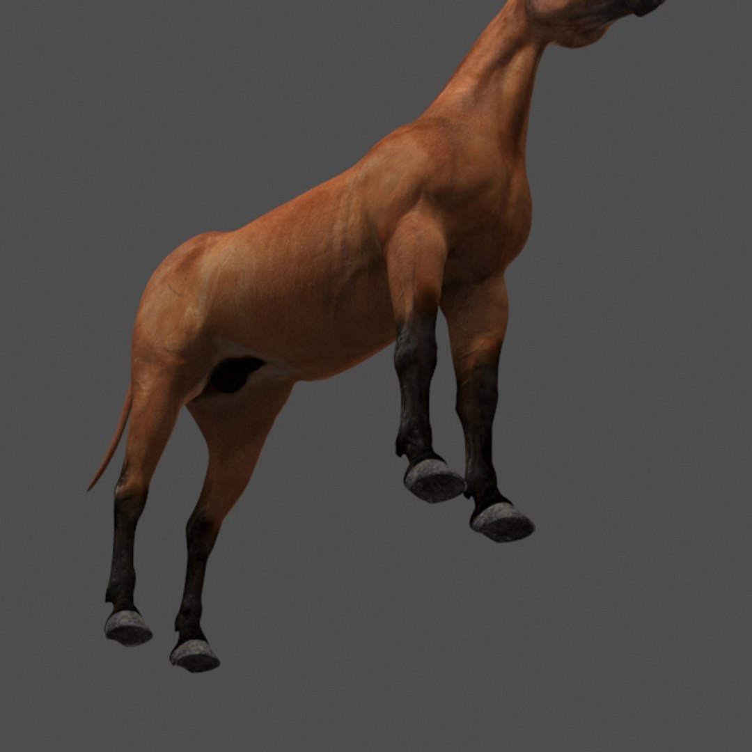 maya horse animations tail