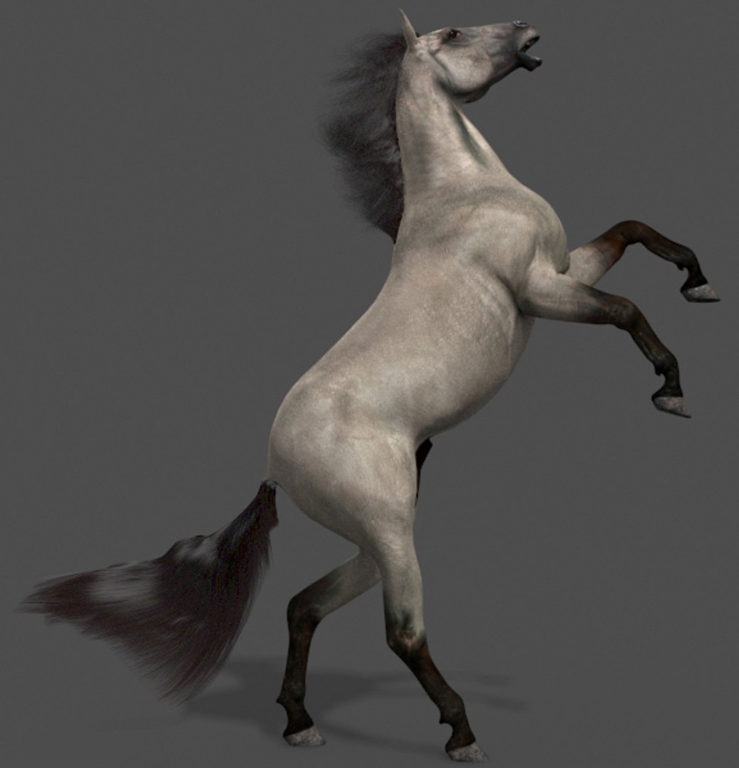 maya horse animations tail