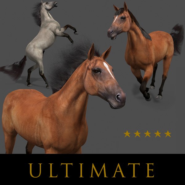 3d model realistic horse