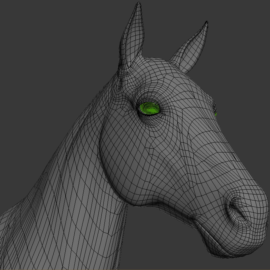 Maya Horse Animations Tail