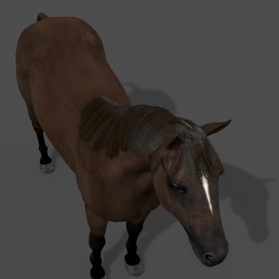 maya horse animations tail