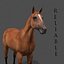Maya Horse Animations Tail