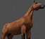 Maya Horse Animations Tail