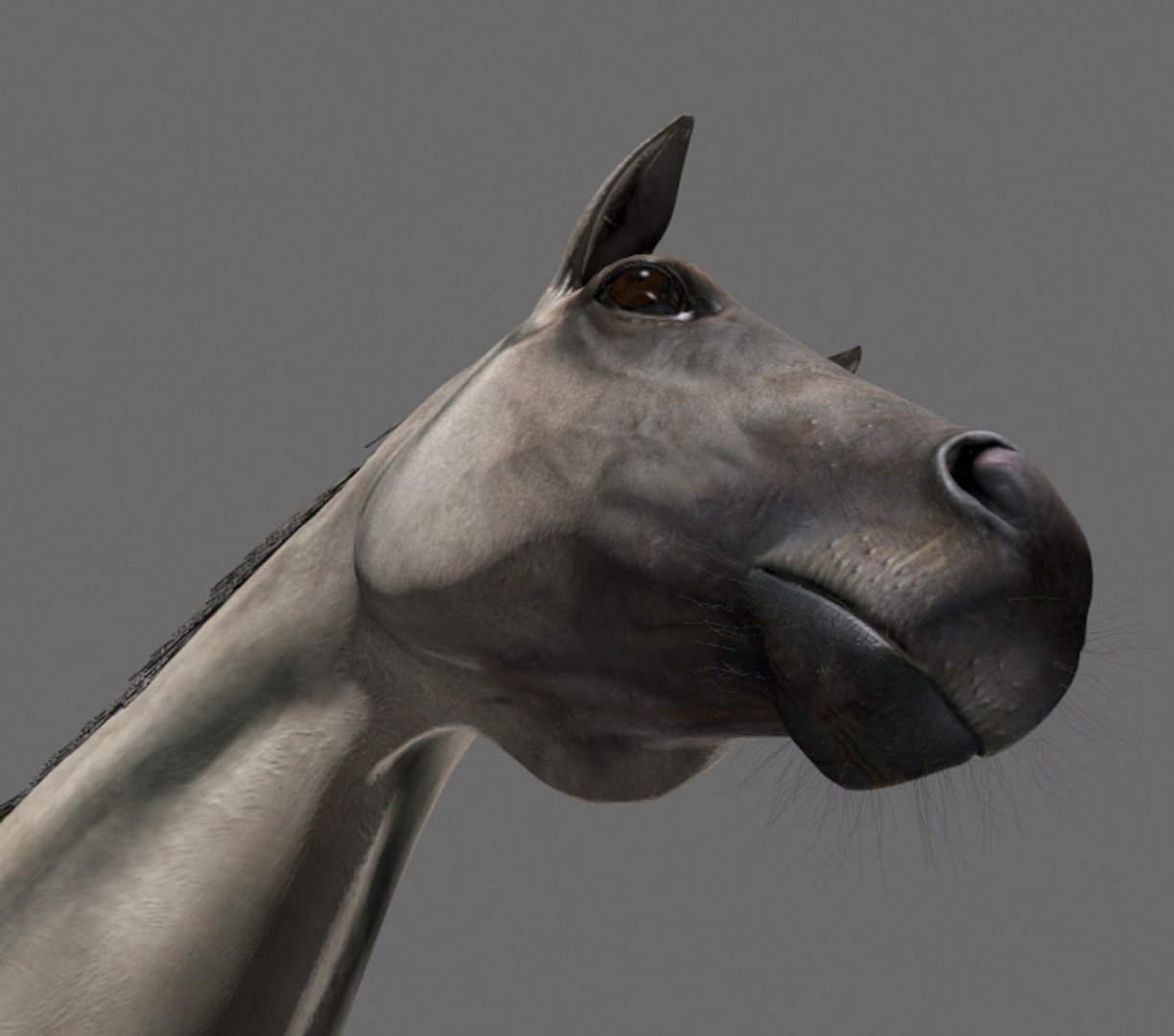 maya horse animations tail