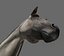 Maya Horse Animations Tail