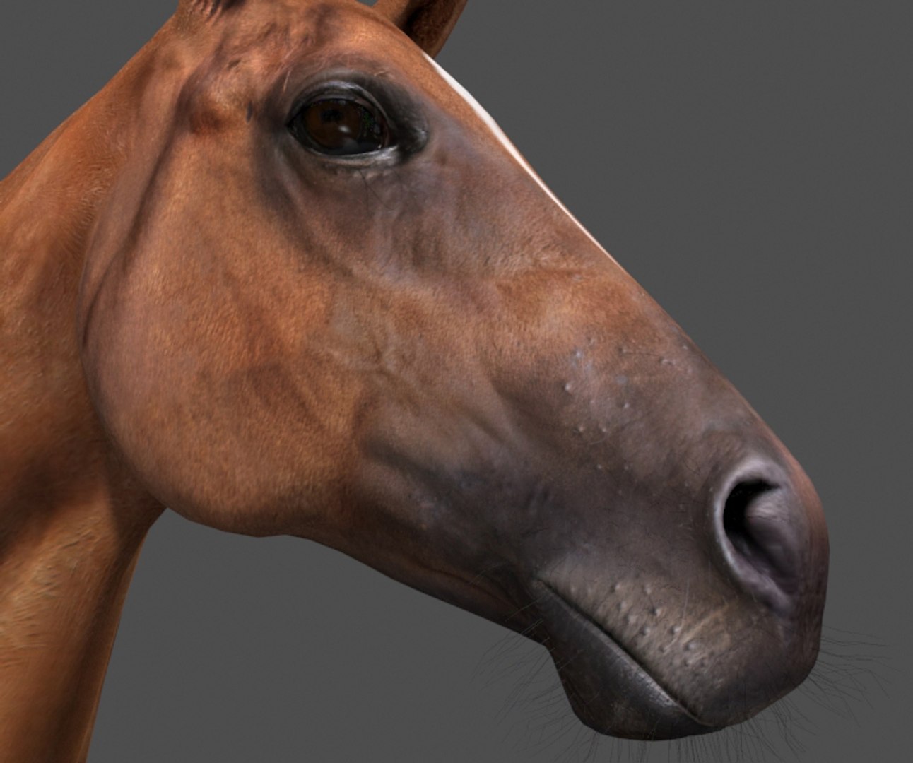 maya horse animations tail