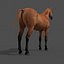 Maya Horse Animations Tail