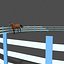 Maya Horse Animations Tail