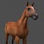 Maya Horse Animations Tail