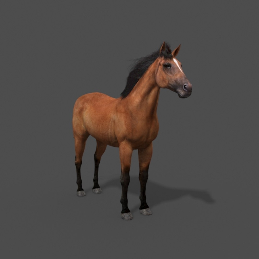 maya horse animations tail