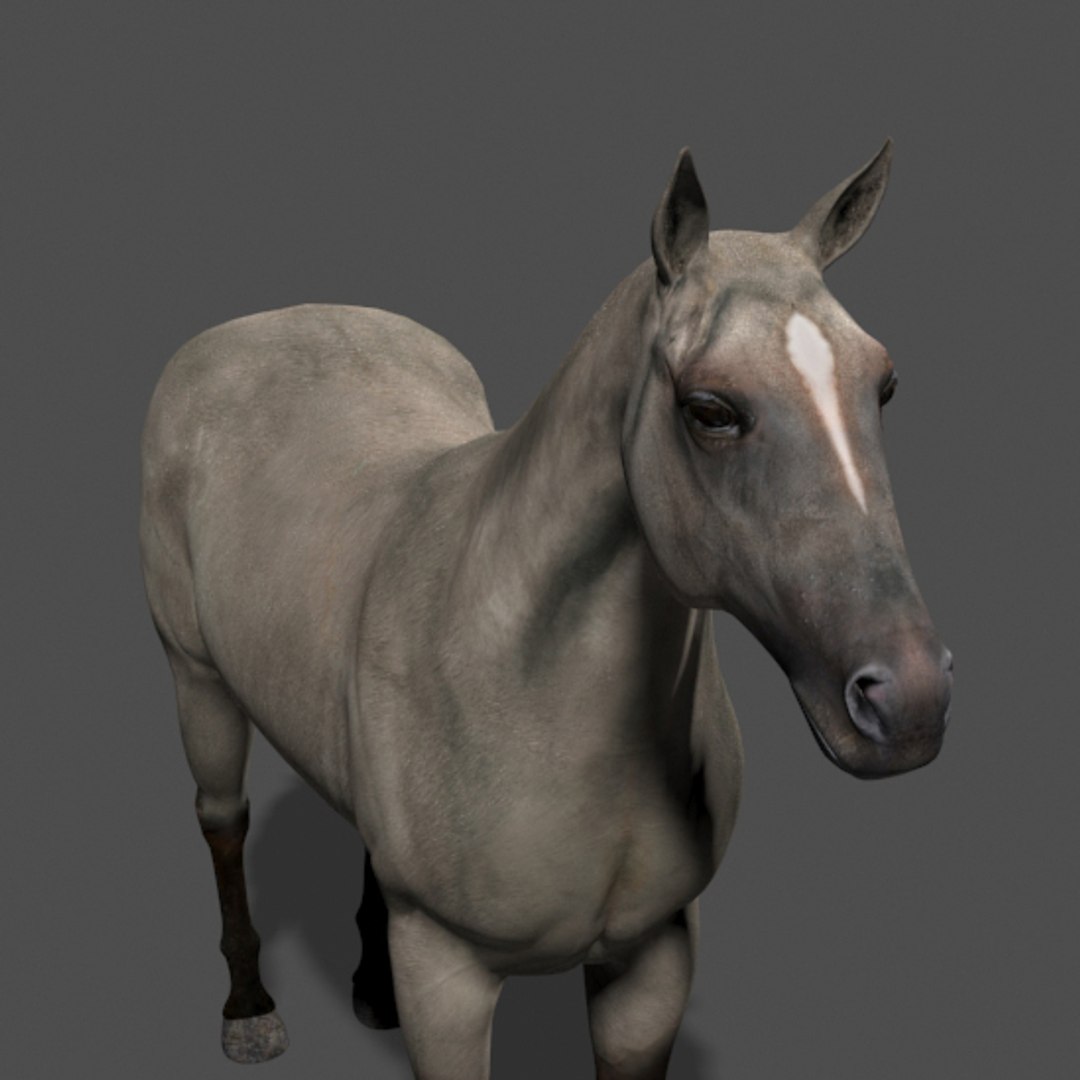 maya horse animations tail
